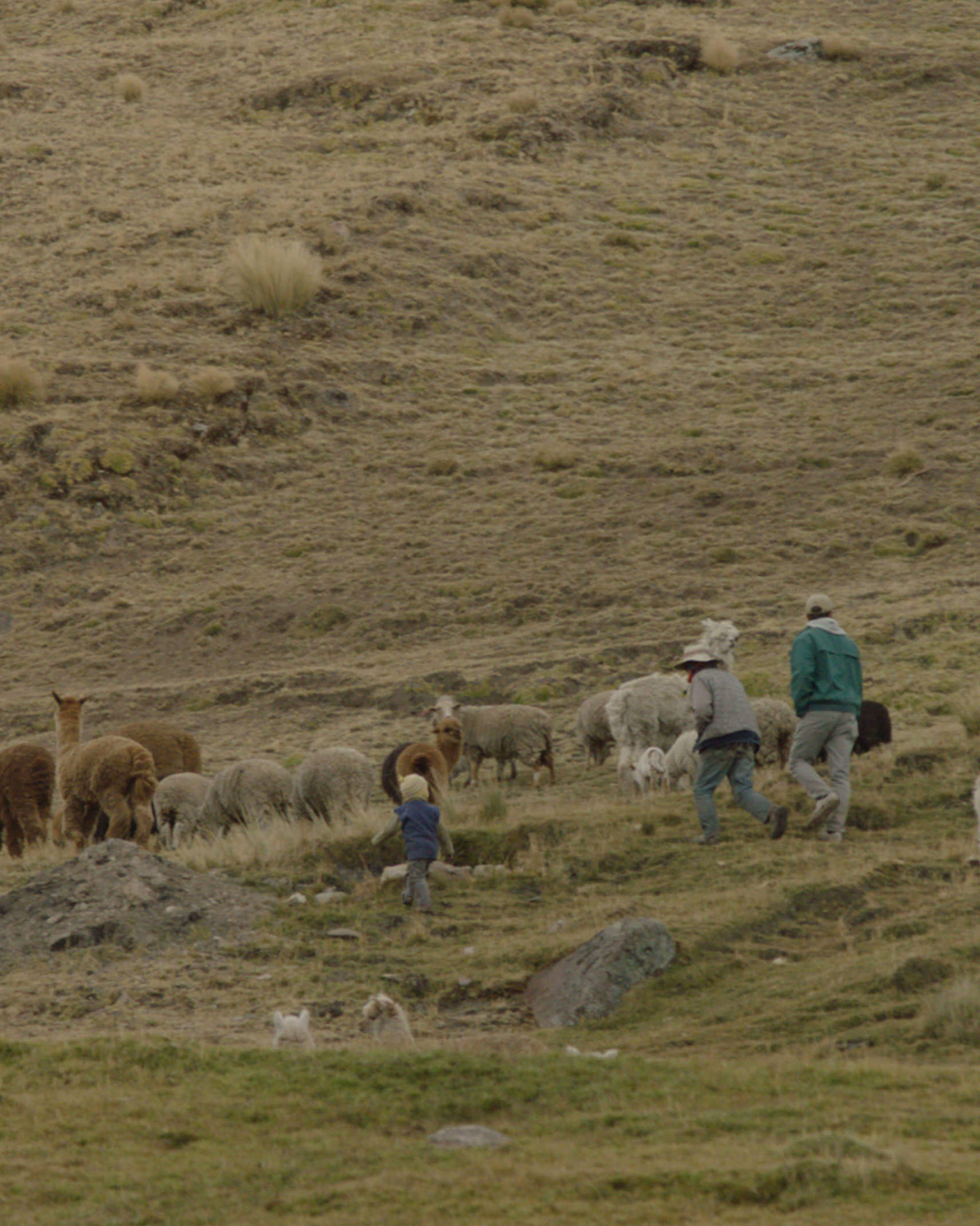 Our Journey to Full Traceability – PAKA®