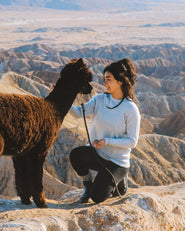 Our Best-Selling Alpaca Crewneck | Paka Apparel – PAKA®